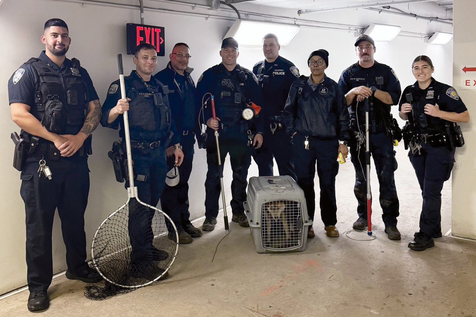 PAPD PATH Command Officers Rescue Dog Loose on Train Tracks - Port ...